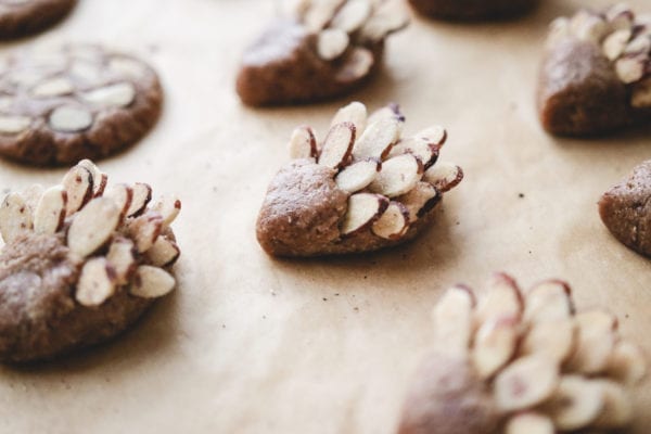 Hedgehog Almond Cookies [vegan, gluten-free, oil free] - Veggiekins Blog
