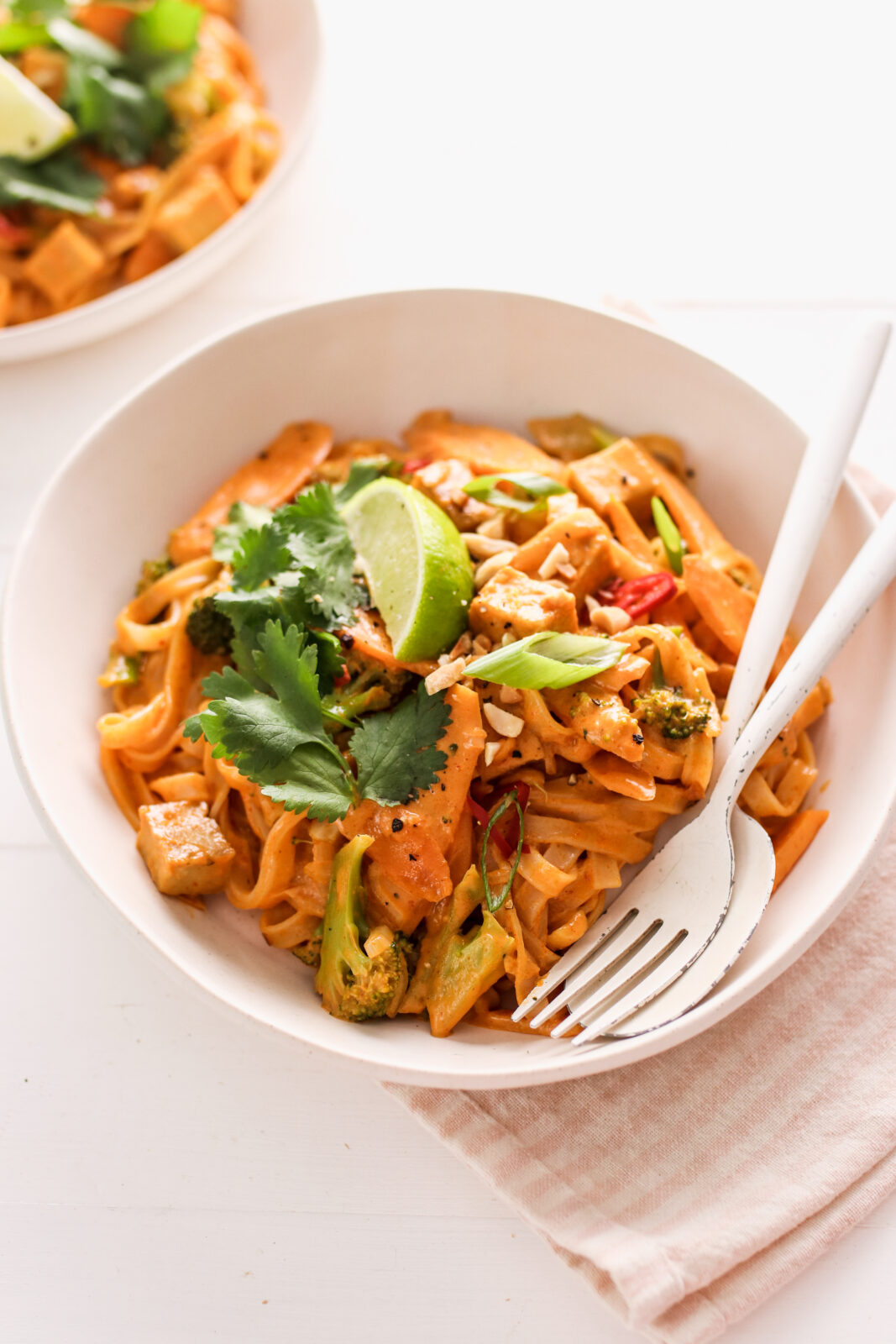 Thai Inspired Red Curry Noodles Recipe (Vegan) | Veggiekins Blog